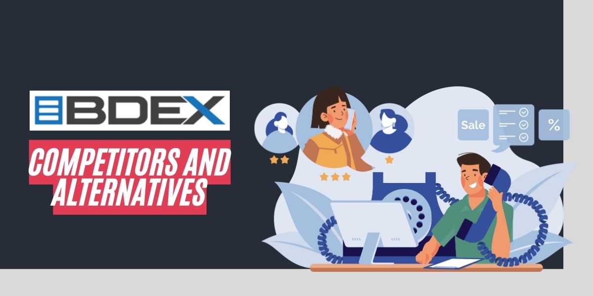 Bdex Competitors: Exploring Top Alternatives in 2025